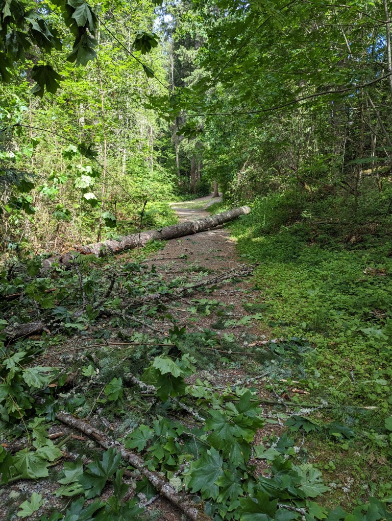 Sid for Sammamish – City Council Position #3