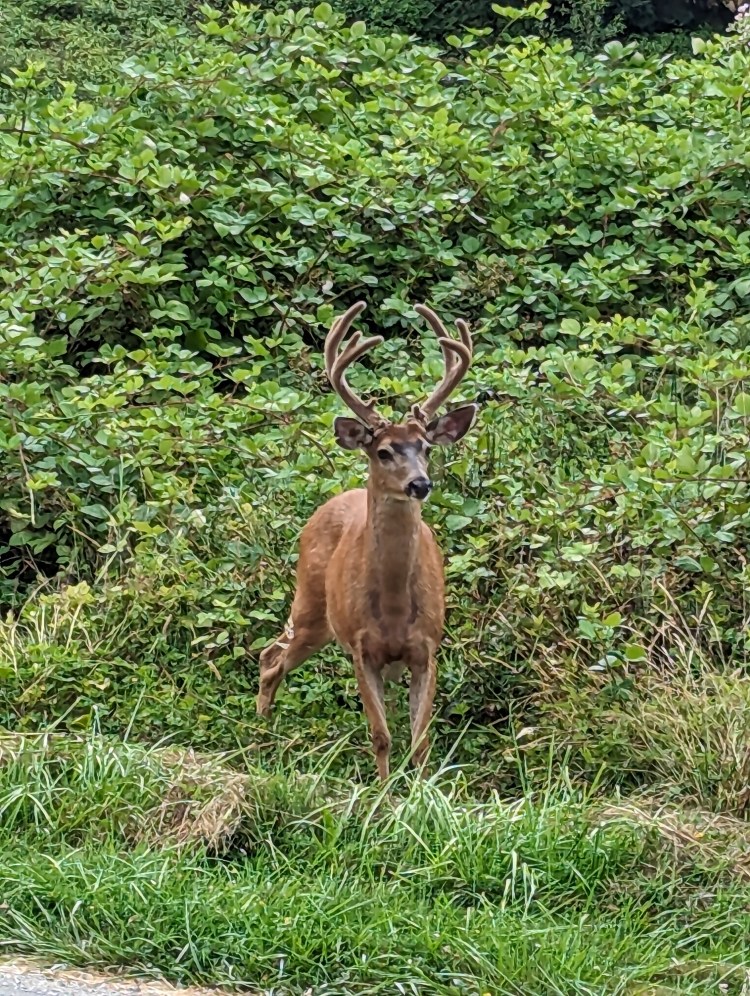 Our Priorities – Sid for Sammamish